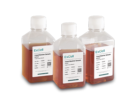 ExCell Bio Group | Leader in Life Science Reagents & Bio-Pharmaceutical ...