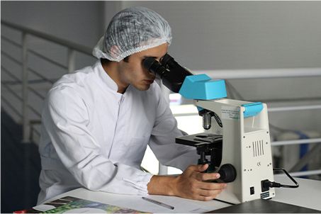 About ExCell Bio Group | Leaders in Life Science Reagents ...